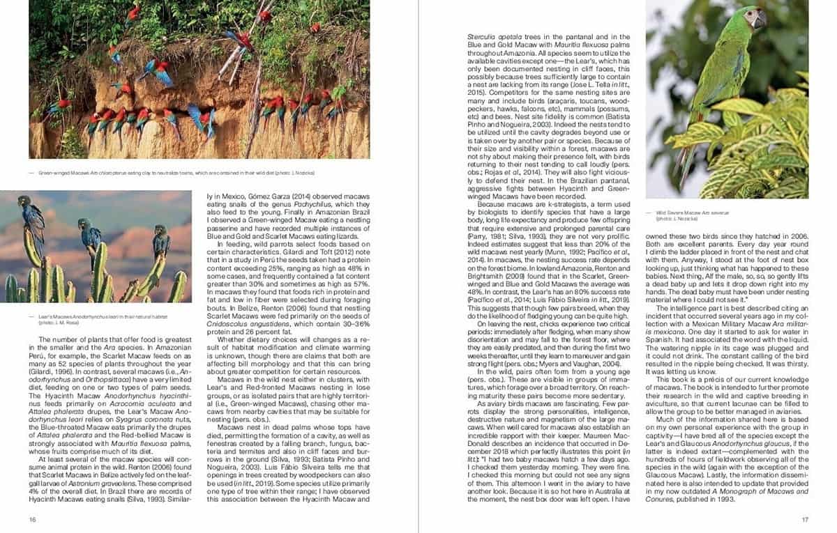 Set of Two Macaws Books in One Shipment - PsittaCulture.EU