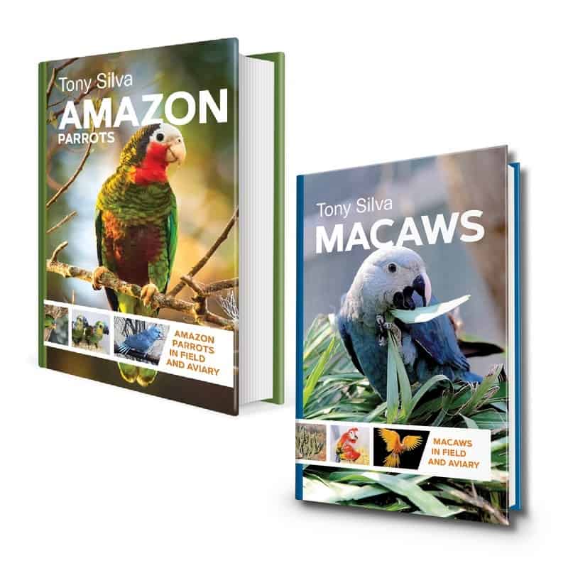 Set of One Amazons Book and One Macaws Book in One Shipment ...